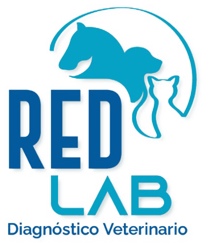 Acceso a Resultados de LABORATORIO RED LAB - MedicaTI